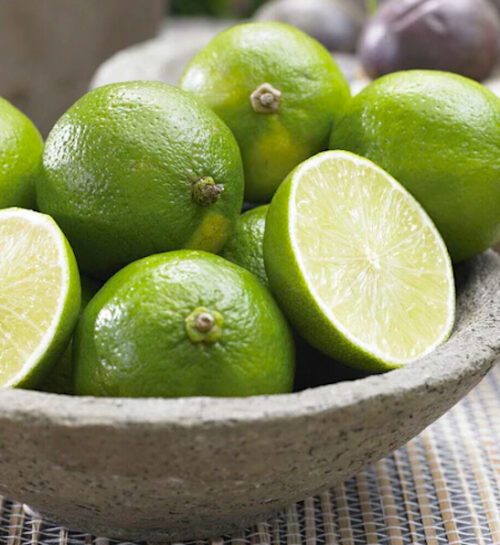 Persian Lime | Citrus x latifolia 'Bearss Lime' | Tahiti Lime
