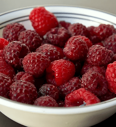 Brandywine Purple Raspberry Plant (Summer-bearing)